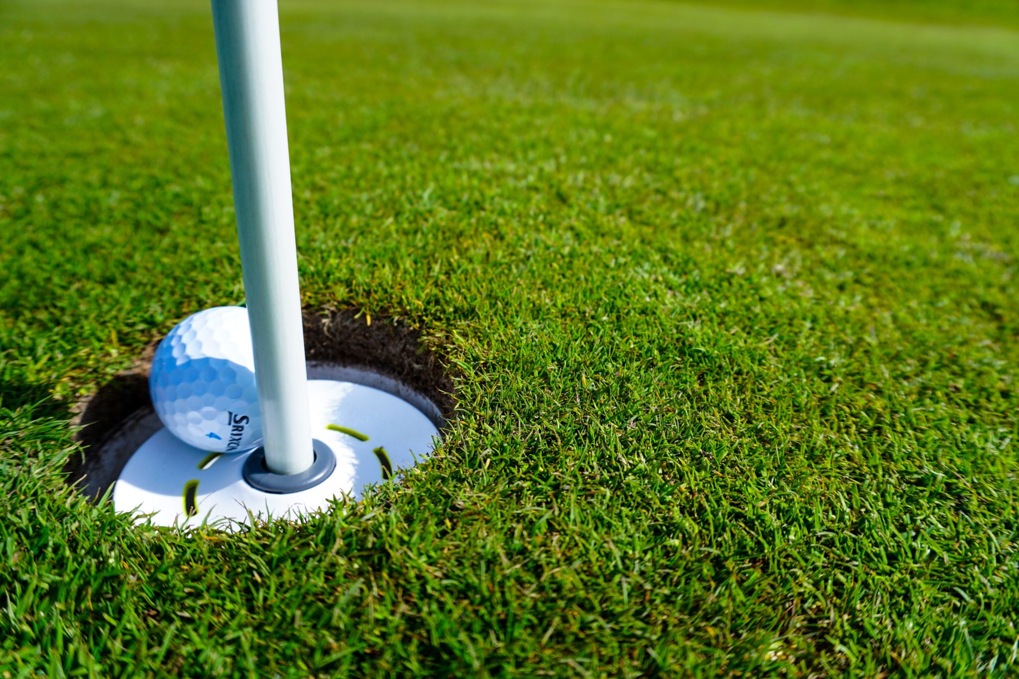 2020 – A Different Year – Peripatos GS